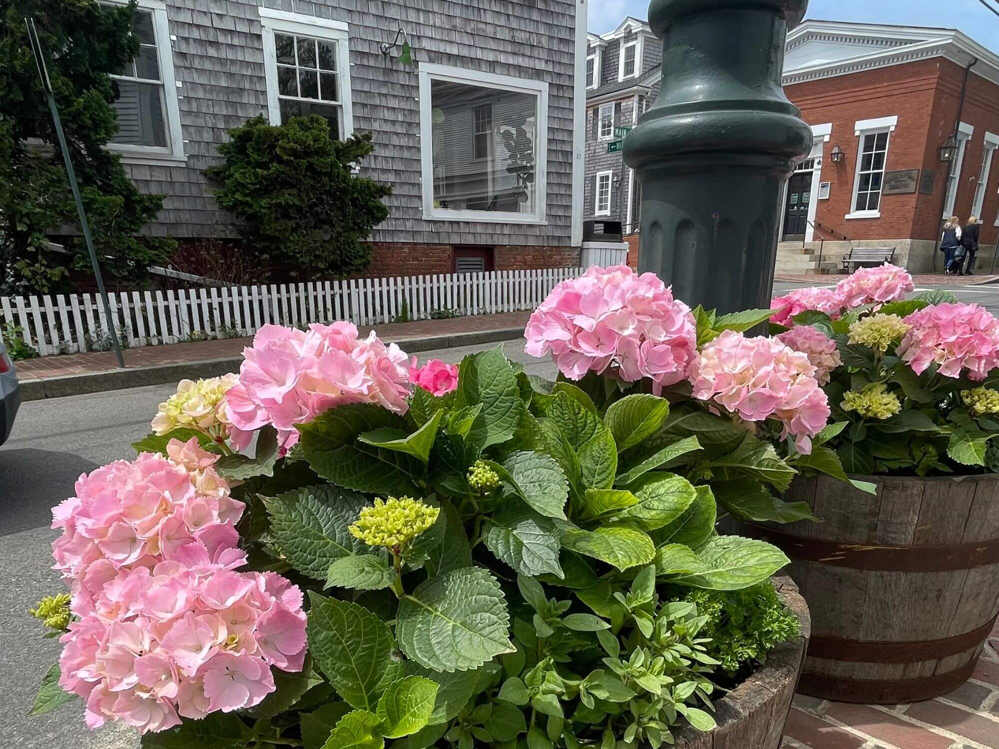 10 Ways to Celebrate Mother's Day on Martha's Vineyard - Martha's Vineyard - Plan Your Visit Today